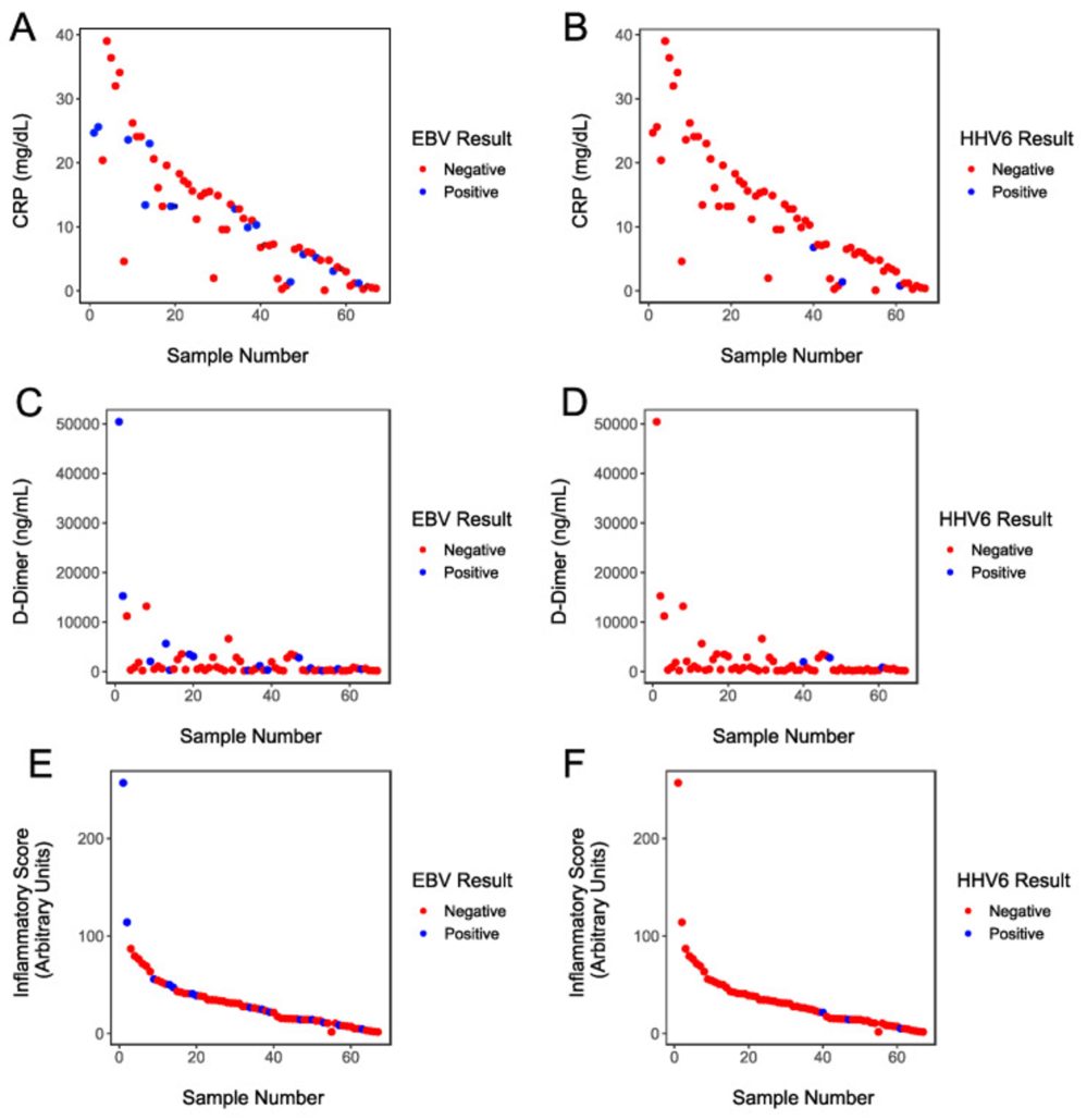 EBV and HHV-6 plasma viremia is infrequent at Day 7 during acute COVID ...