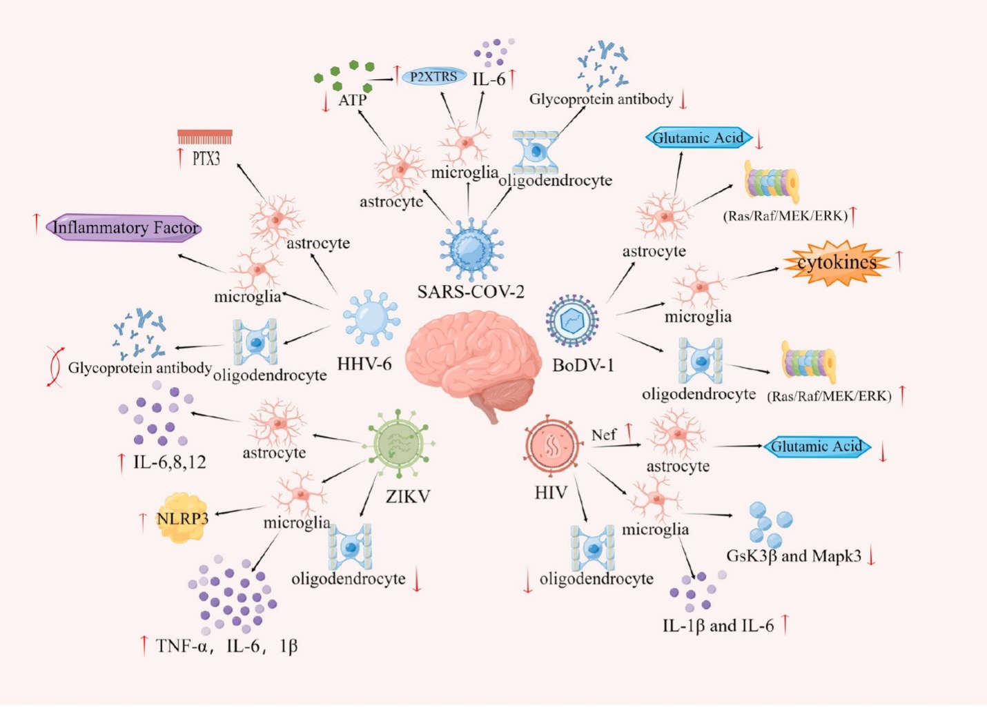 Review of the theory that chronic viral infection of the brain can lead ...