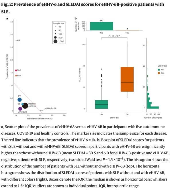 iciHHV-6B linked to systemic lupus erythematosus (SLE) in Japanese and ...